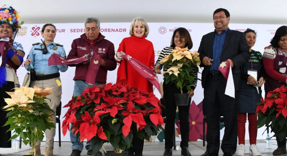 Festival De Flores De Nochebuena Es Inaugurada En Cdmx Megalópolis